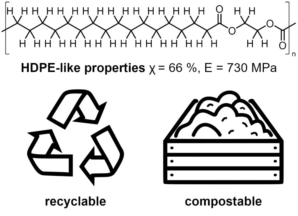 Forschung entwickelt umweltfreundliches Polyester