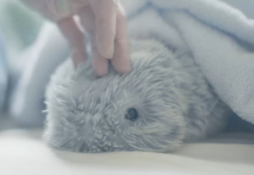 Tamagotchi war vorgestern: Jetzt kommt Kuschelroboter Moflin als KI-Haustier